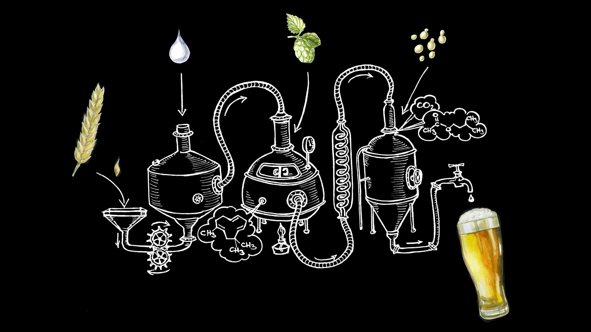 Making a MOOC about the science behind beer - this year’s winner of the ...