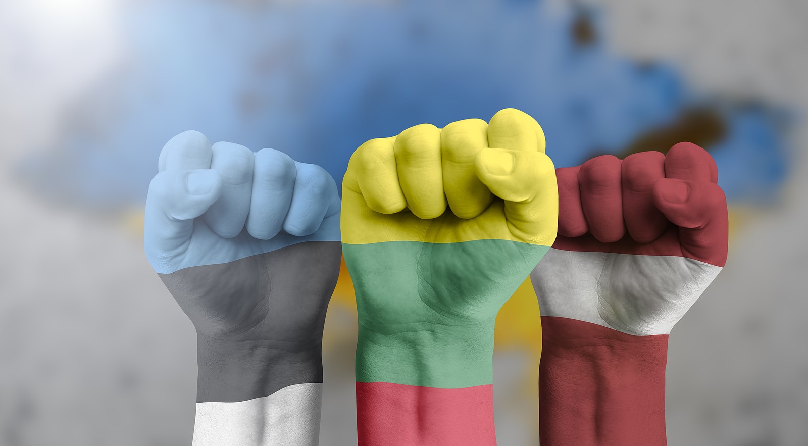 Baltic states use MIL to fight for their democratic futures - Media and ...